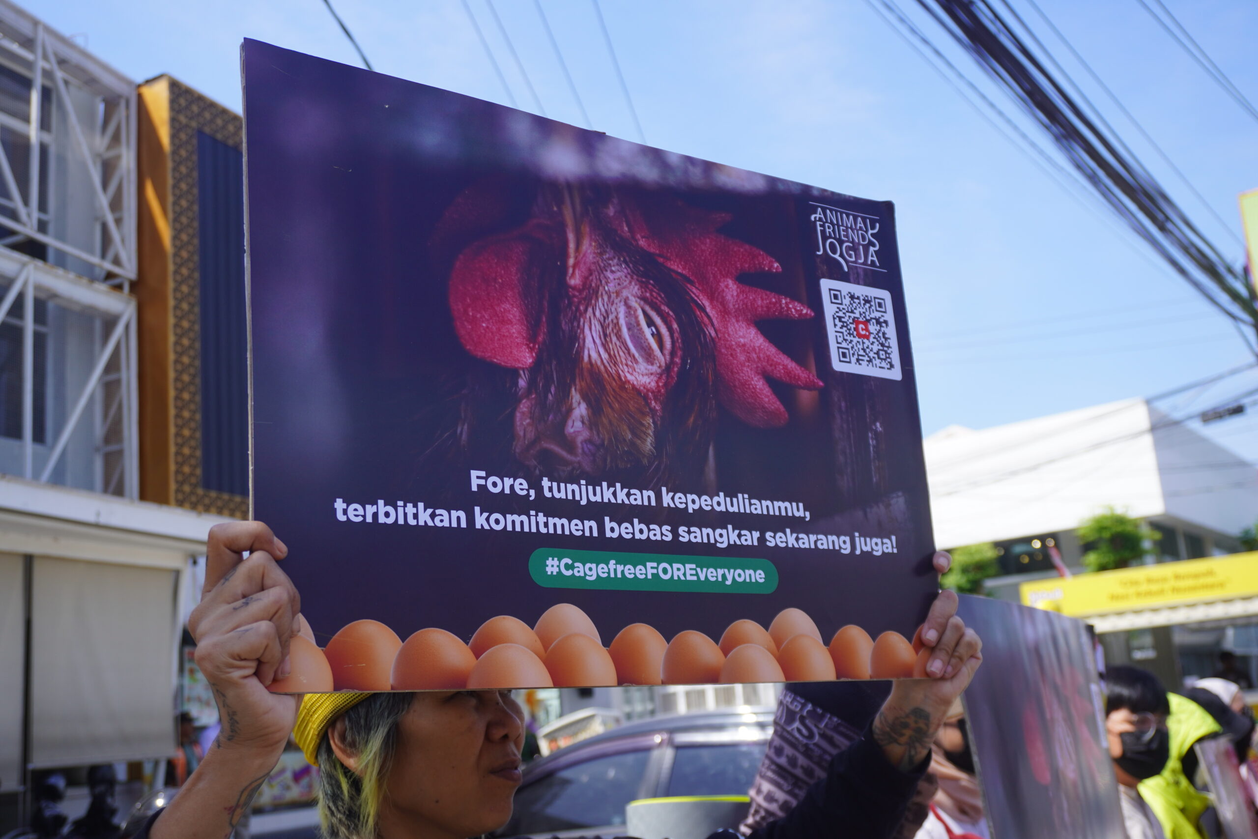 Pecinta Hewan Petelur Suarakan Bebas Sangkar - Berita Berdasar Fakta